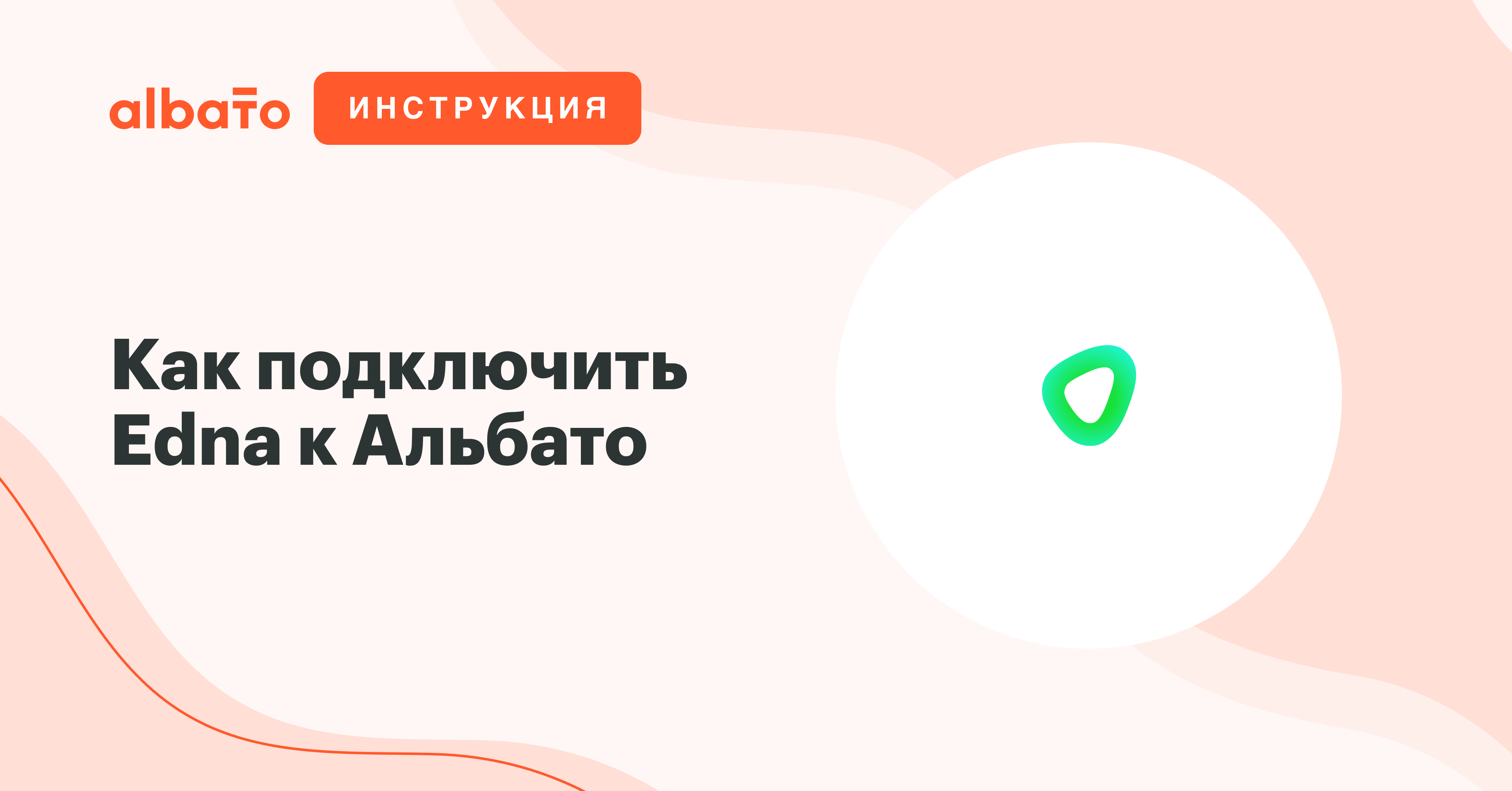 Edna — пошаговая инструкция подключения